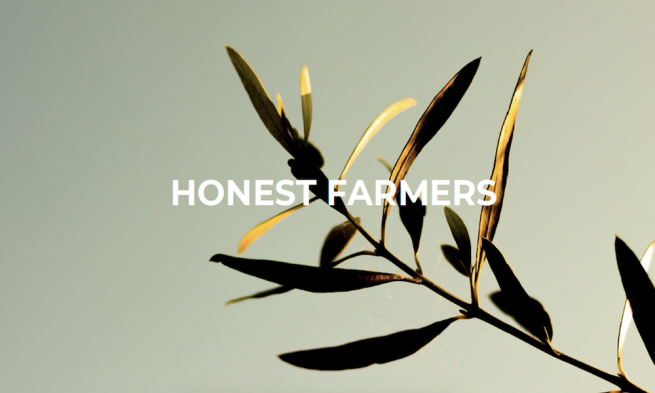 MS SDM | Honest Farmers - MS Strategic Design & Management